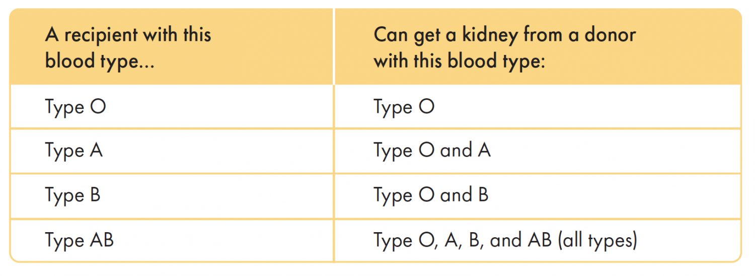 The kidney paired donation process: learning what to expect - Explore ...
